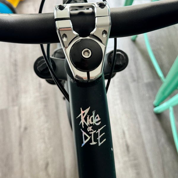 Transition SPUR CARBON 2020 Sticker Kit - Etsy