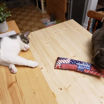 KITTY KICKERS 14 Long X 3 Wide. Made With Fresh CATNIP by ...