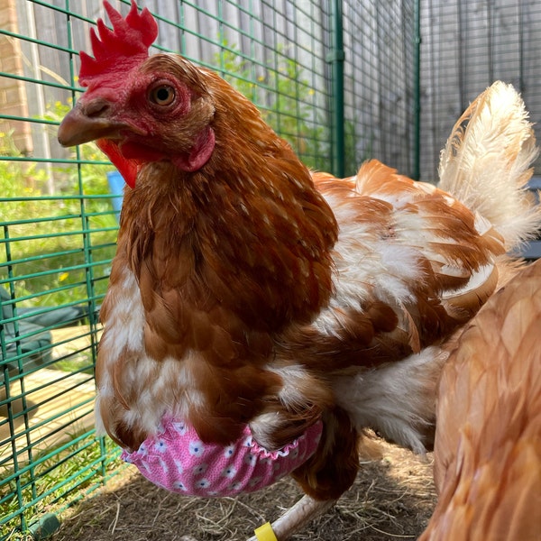 Chicken Bra, Crop Support, Pendulous Crop Support, Crop Bra, Hen Bra ...