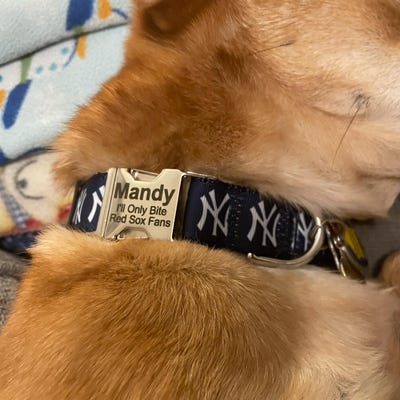 Midnight Navy Blue NY Yankees Dog Collar Bronx Bombers Personalized ...