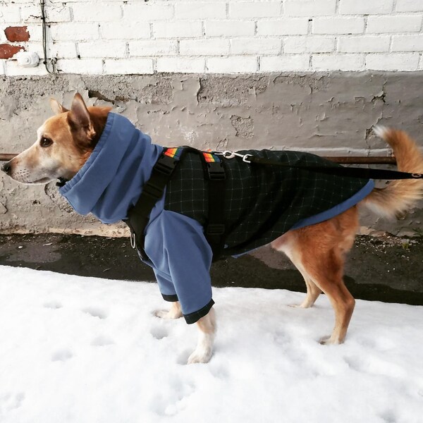 Beaded Fish Earrings, Sockeye Salmon Earrings, Rainbow Trout Earrings ...