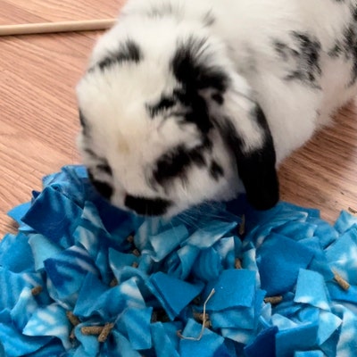 Bunny Rabbit Snuffle Mat, Foraging Blanket, Stimulation Treat Toy ...