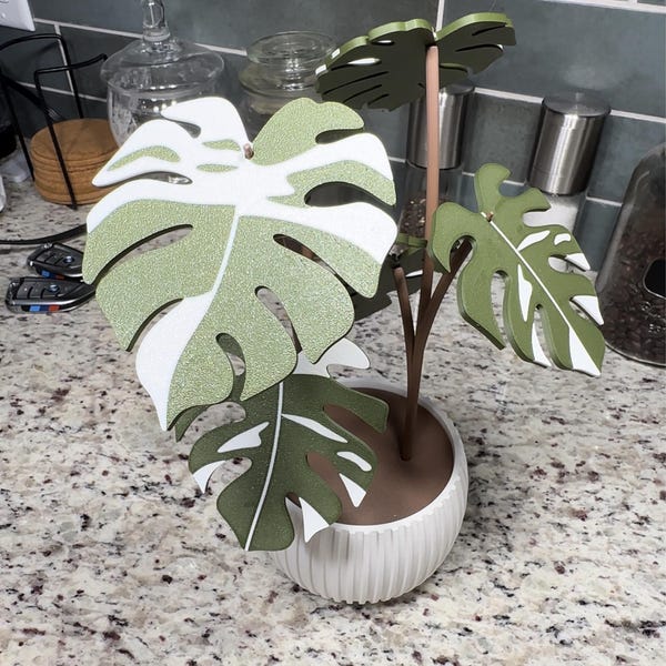 Coaster Plant Set for Drinks Decoration Plant Variegated Leaves ...
