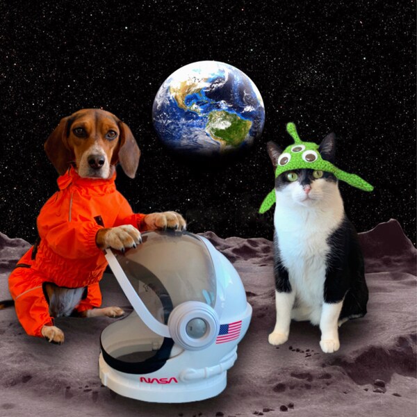 Alien Cat Costume - Etsy