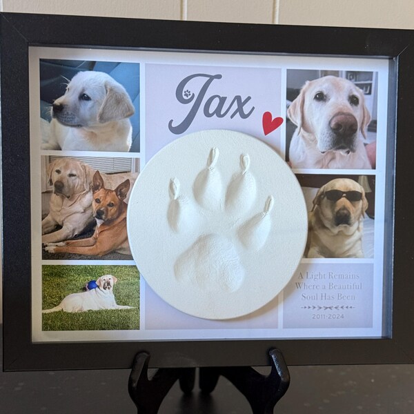 Pet Memorial Gift With Collar and Clay Paw Print Shadow Box, Clay Paw ...