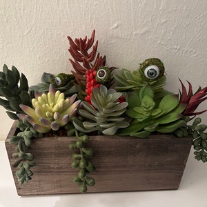 Eye Lichen Labyrinth Themed Gift - Etsy