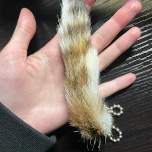 Genuine Bobcat Tail Keychain CHOOSE SIZE - Etsy