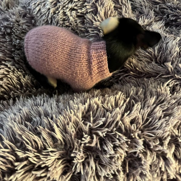 Dog Harness / Dog Collar / Cat Harness / Knitted Harness / Choke Free ...