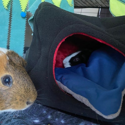 Large Fleece Coffin Bed, Drac Inspired Design, Halloween Pet Bed, Cat ...