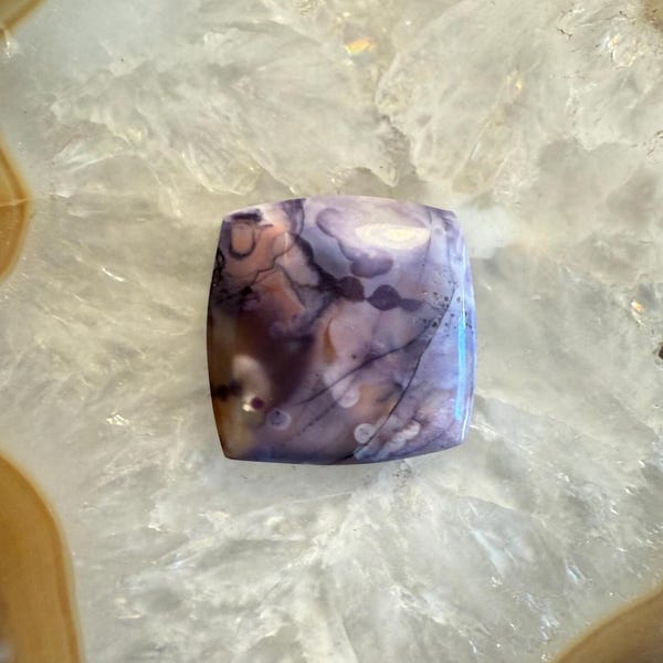 Colorado Petrified Wood Designer Cabochon, Hand Cut and Polished ...