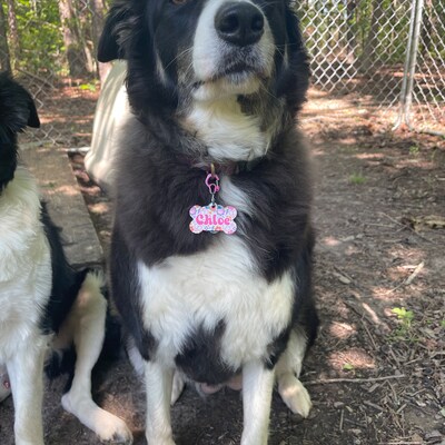 Retro Smiley Dog Tag Retro Dog Tag Pet Tag Custom Dog Tag - Etsy