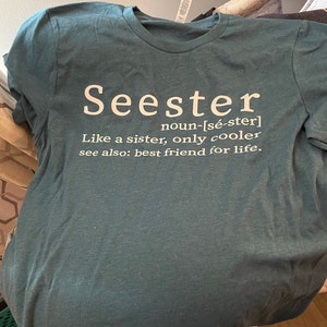 Seester Noun Shirt, Seester Definition T-shirt, Gift for Sister, Best ...