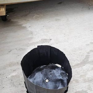 Luffa ,smooth Patola, Sponge Gourd..grow Your Own Luffa 30+seeds. - Etsy