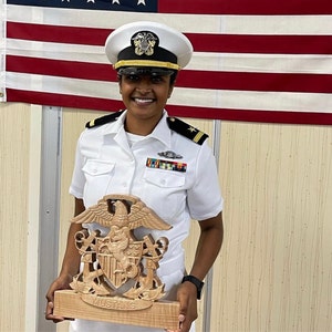 U.S. Navy Fleet Marine Force FMF Plaque Dish 14 Cutout-17 Wide Approx ...