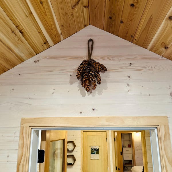 Natural Pine Cones Hanger; White Tip Pine Cones; Natural Christmas ...