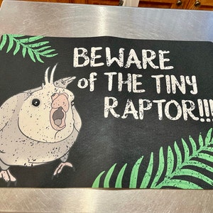 The Caiques Hoodie Funny Parody Hoodie Birb Memes Apparel | Etsy