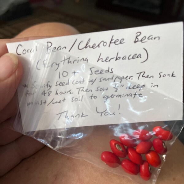 20+ Prickly Pear Seeds Cactus Fruit Seeds Cactus Opuntia Seeds Edible ...