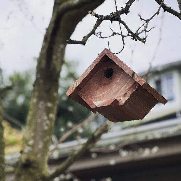 Country Roads Take Me Home Sign | Farmhouse Decor | Rustic Wood Sign ...
