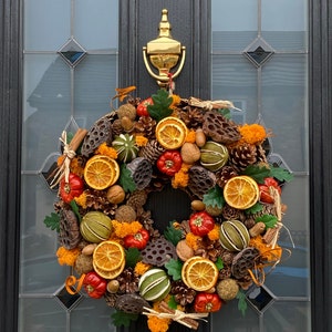 Dried Conkers Conkers in Shells dried Natural Conkers | Etsy