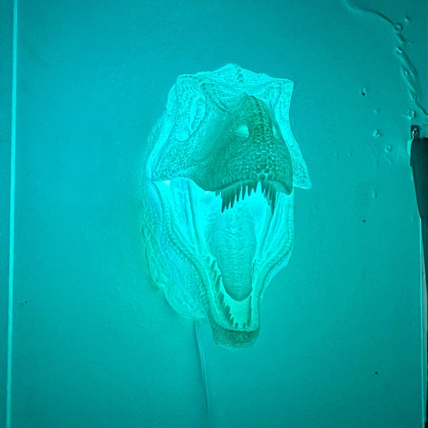 Tyrannosaurus Rex - Wall Hanging 3D Printed Accent Lamp, T-rex, Novelty ...