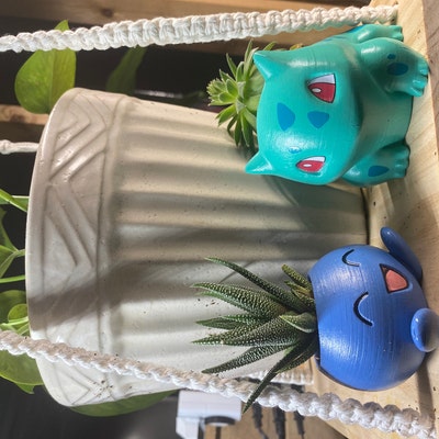 Bulbasaur pintado y maceteros extraños con suculentas/cactus - Etsy México