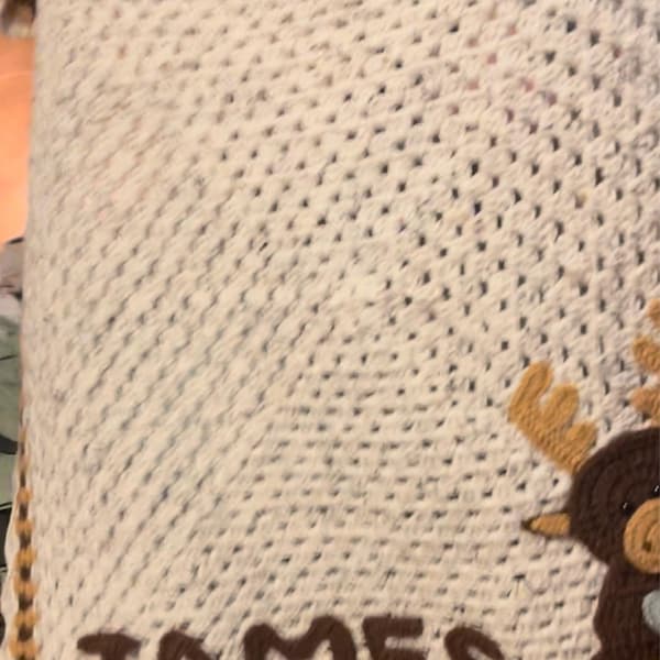 Handmade Crocheted Baby Blanket With Cute Sloth Design, 40x40'' or ...