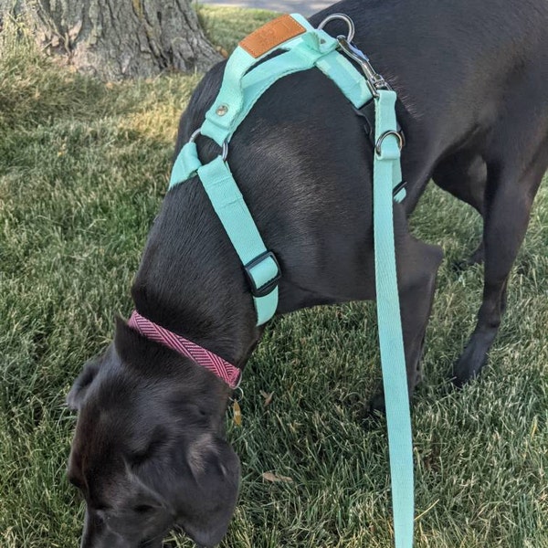 Lof Dog No Pull H-type Harness With Handle, Designed to Fit Dogs Body ...