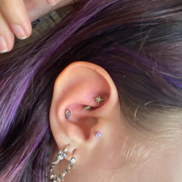 ALL Titanium - 20g 18g 16g Clicker - TINY Charm - Rook Hoop With Charm ...