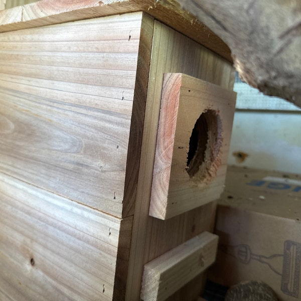 Large Squirrel House, Squirrel House, Cedar Squirrel House, Squirrel ...