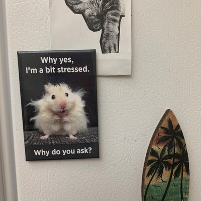 Stressed Fridge Magnet - Etsy