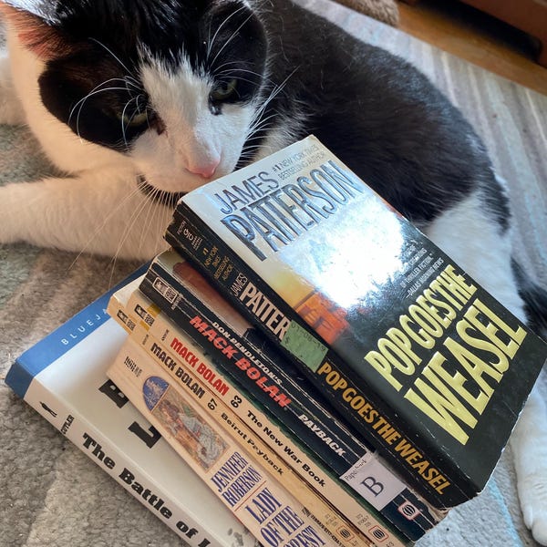 Vintage Bubble Blowing Baby Doll Porcelain Doll With Cloth Body Brown ...