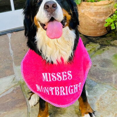 St Bernard Dog Bib ,large Drool Bib, Slobber Dog Bib , Large Breed Dog ...