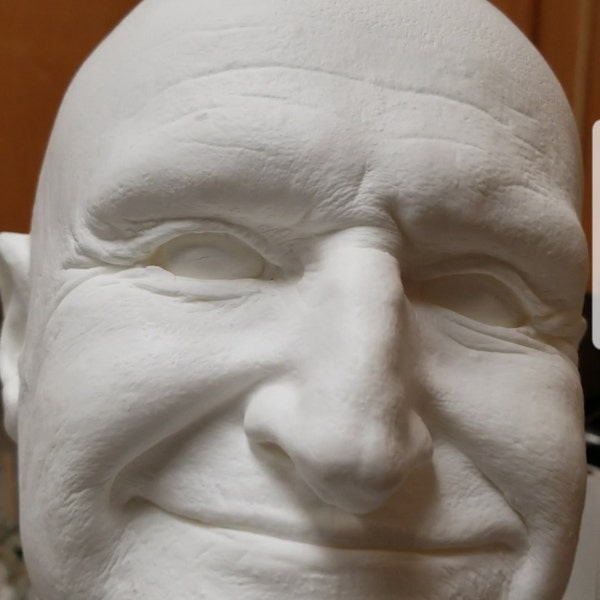 Life Mask Plastic CILLIAN MURPHY Made to Order Lifecast Life Life-size ...