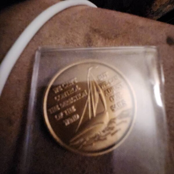 Butterfly Medallion, Recovery Coin, Recovery Medallion, 12 Step ...