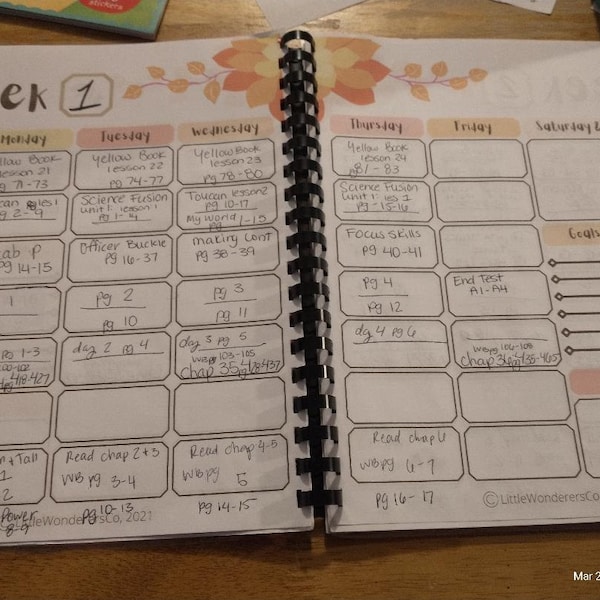 Ocean Habitat Busy Book Activity Printable - Sea Life, Biome, Preschool ...