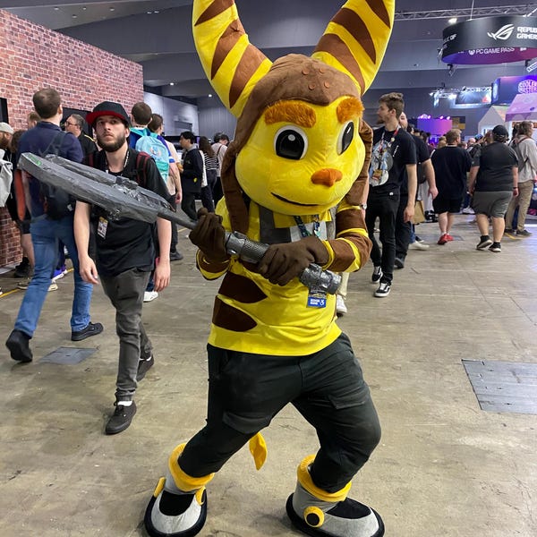 Custom Costume and Head - Custom Mascot Head and Full Mascot + Message ...