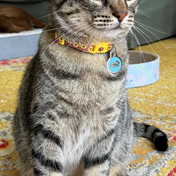 Peach Cat Collar - Peaches on Pink - Breakaway Safety - B176D269 - Etsy