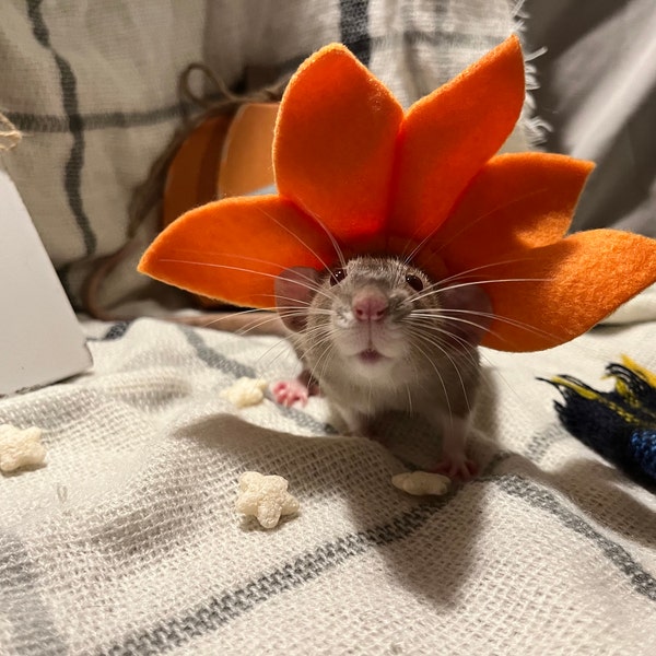 Jack O' Lantern Cape Costume for Pet Rats, Orange Cape With Black ...