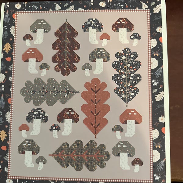 Irish Chain Quilt in a Day Book by Eleanor Burns - Single and Double ...
