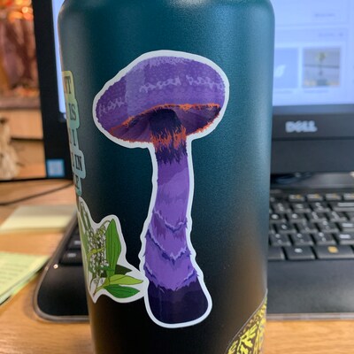 Become Moss Vinyl Decal - Etsy