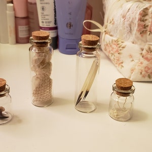 Real Bobcat Toe Bone Curiosity Jar Bone Terrarium Oddity Jar - Etsy