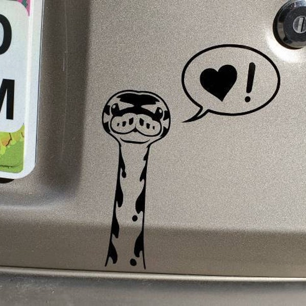 Peeking Ball Python Decal - Periscoping Snake, Serpent, Boa, Reptile ...