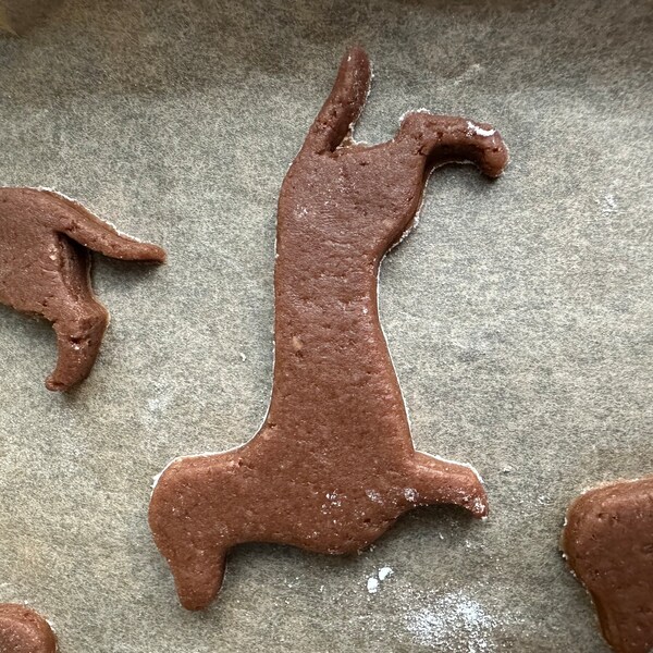 Cute Axolotl Cookie Cutter, Axolotl Gifts, Gift for Mom, Reptile ...