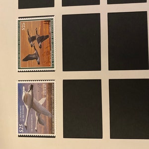 Waterfowl Collector Duck Stamp Frame - Etsy