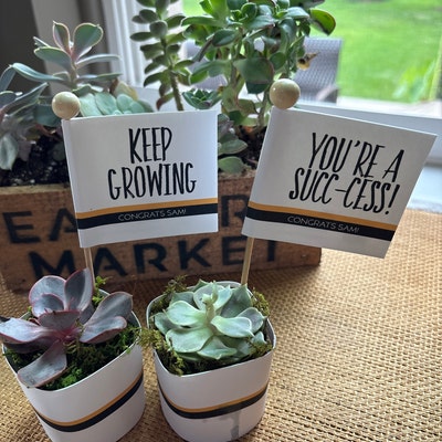 Graduation Succulent Plant Favors, Custom Tags With School Colors ...