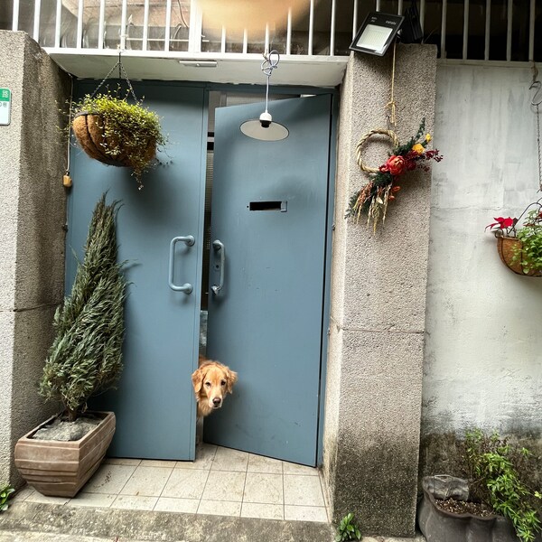 Custom Textile Cable | 3 Core DIY Electrical Fabric Flex | Coloured ...