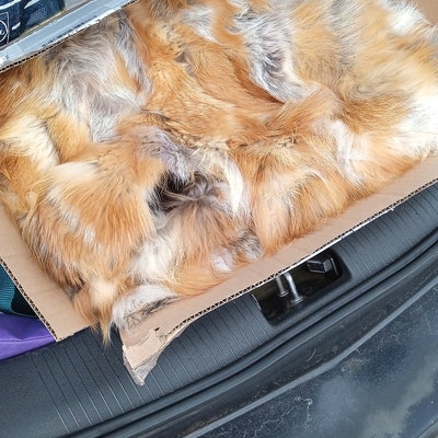 Luxury Real Silver Red Fox Fur Throw Blanket - Etsy