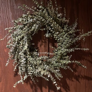 Fresh Eucalyptus Wreath 20" - Etsy
