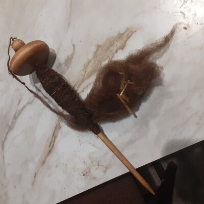 Muga Silk Cocoons antheraea Assama 7 G With Pupa Removed - Etsy