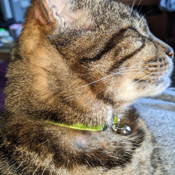 PAC-MAN Retro Cat Collar. Cat or Kitten Safety Collars With Quick ...